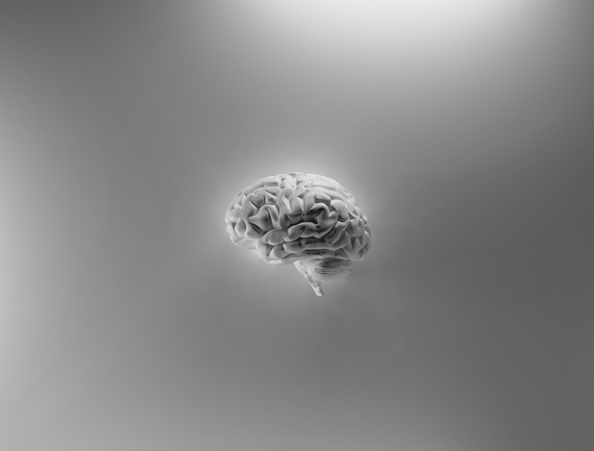 Introduction To God The Brain Eden Project introduction-to-god-the-brain-eden-project